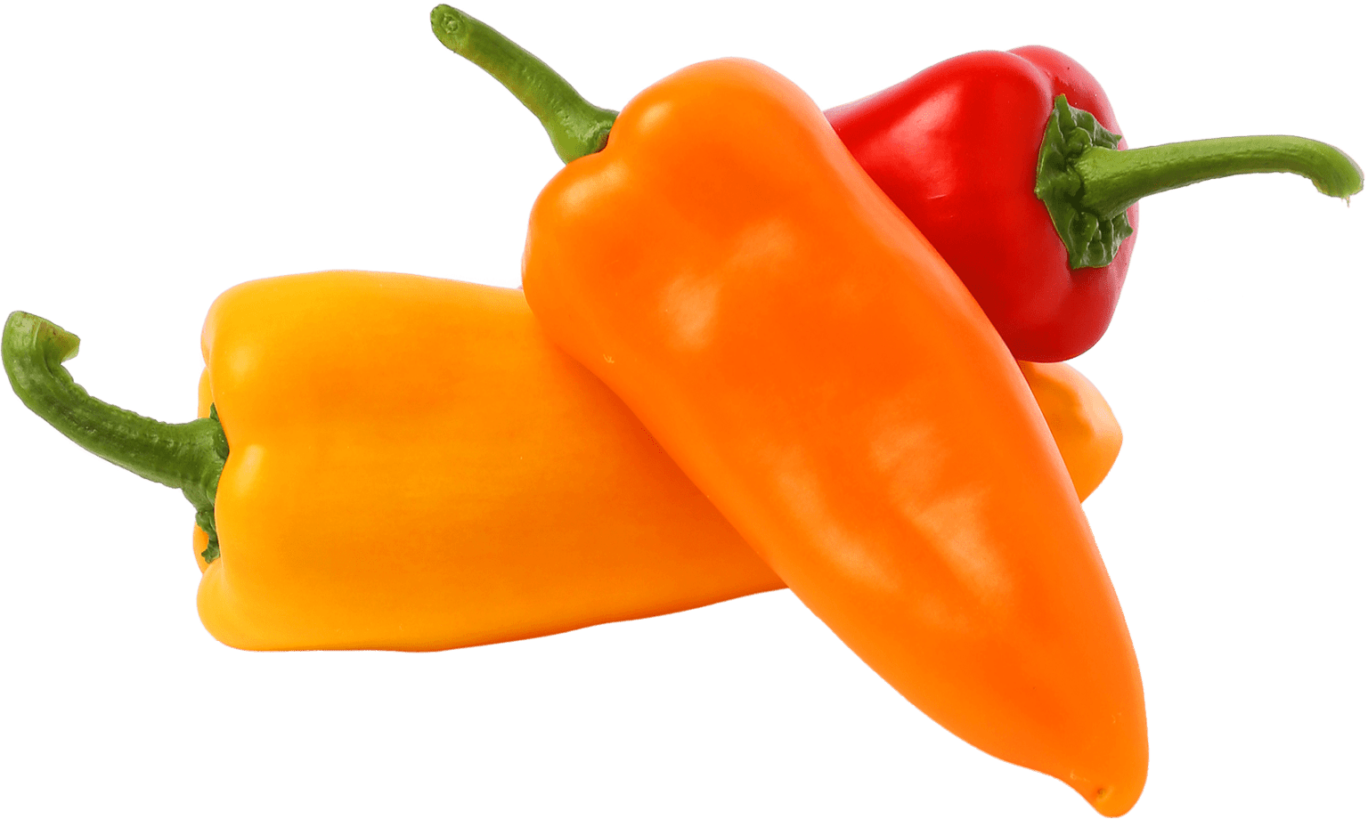Mini poivrons biologiques ONE SWEET® - SUNSET Grown. All rights reserved.